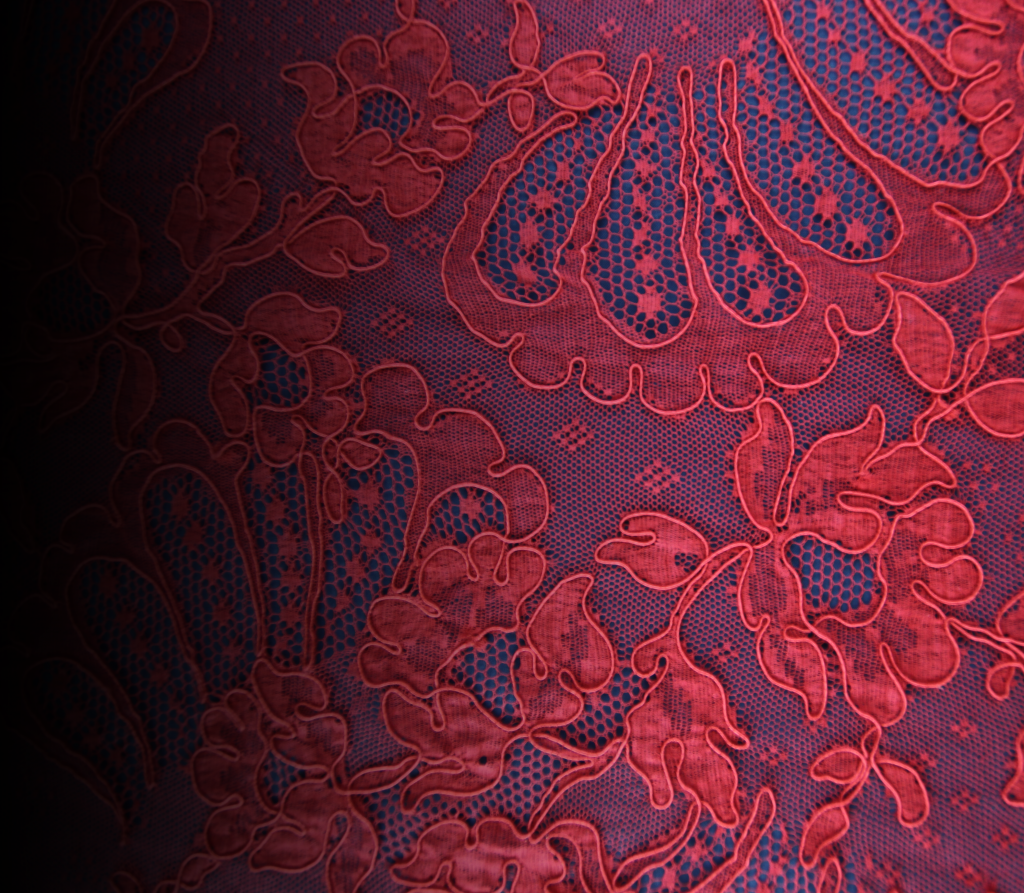 Dentelles de Lyon Archives - Atelier Dentelles